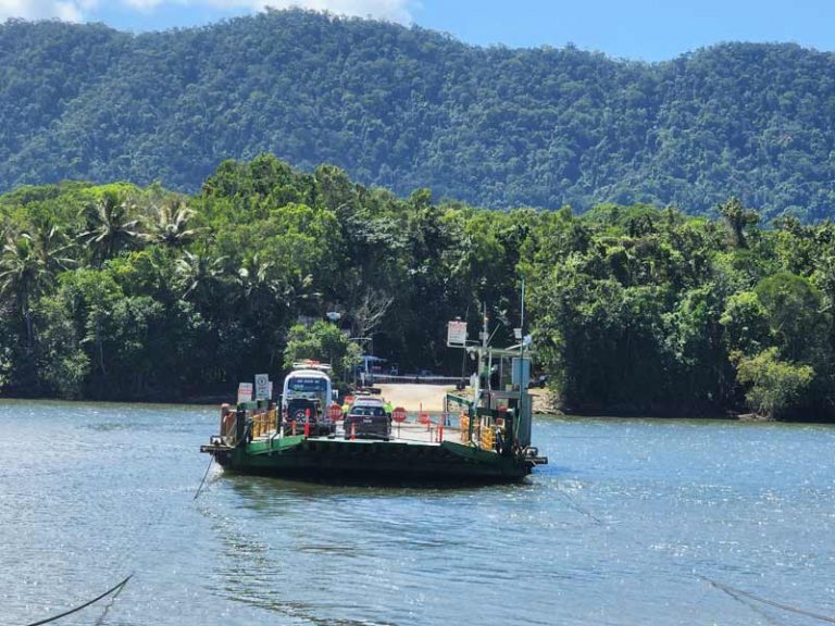 Your guide to the Daintree Rainforest » Daintree Coast