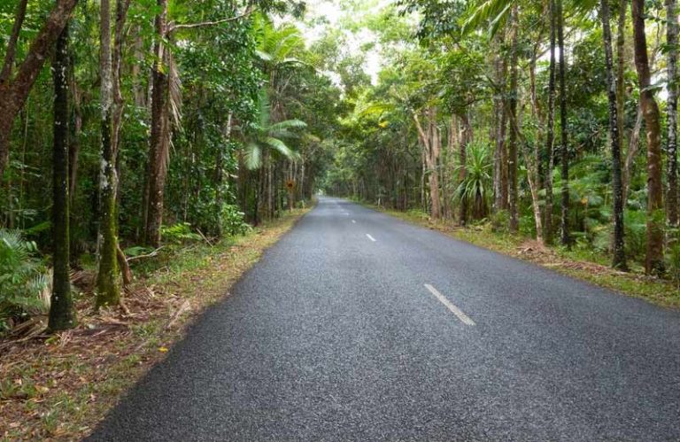 Things to do in the Daintree Rainforest » Daintree Coast