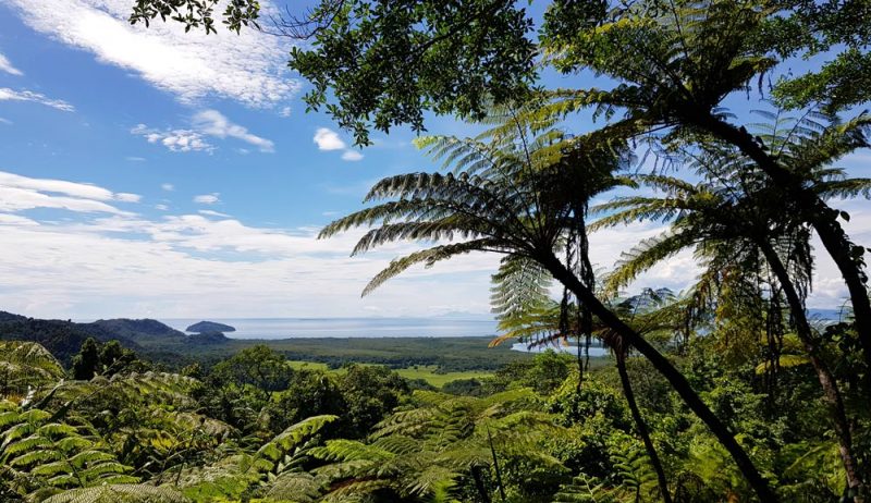 Your guide to the Daintree Rainforest » Daintree Coast
